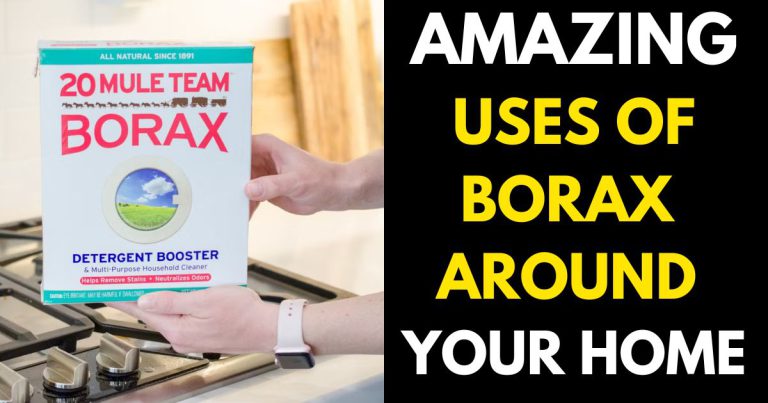 40+ Amazing Borax Uses for Cleaning, Health, and Gardening - StylePersuit