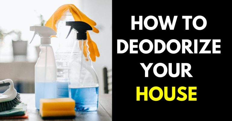 How to Deodorize House (Tips for a Fresh-Smelling Home) - StylePersuit