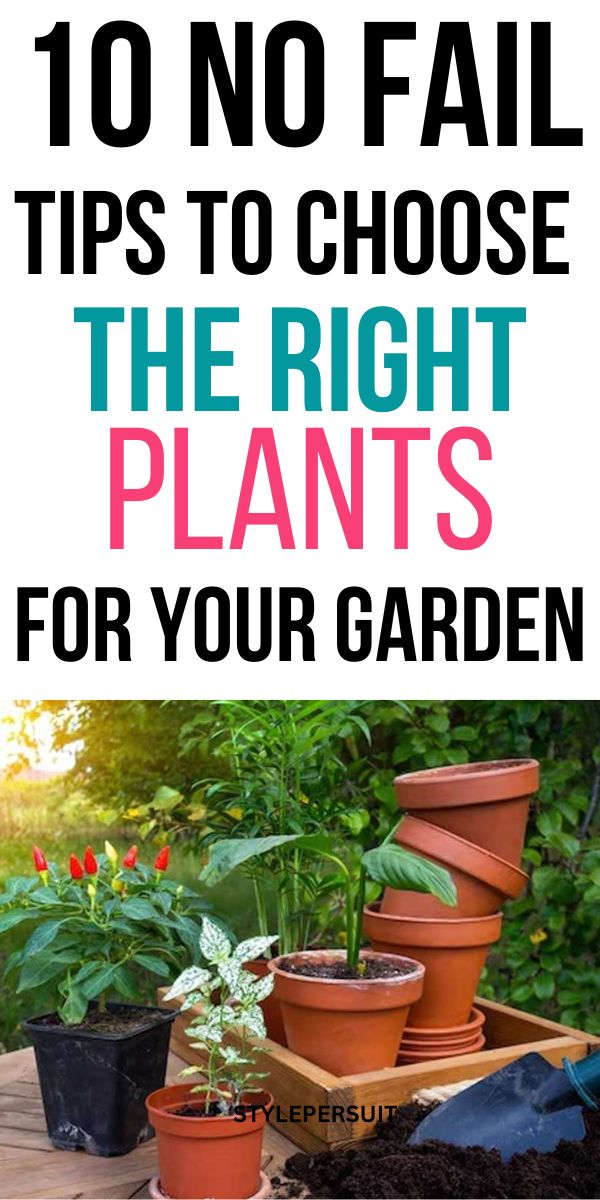 How to Choose the Right Plants for Your Garden (10 Simple Gardening ...