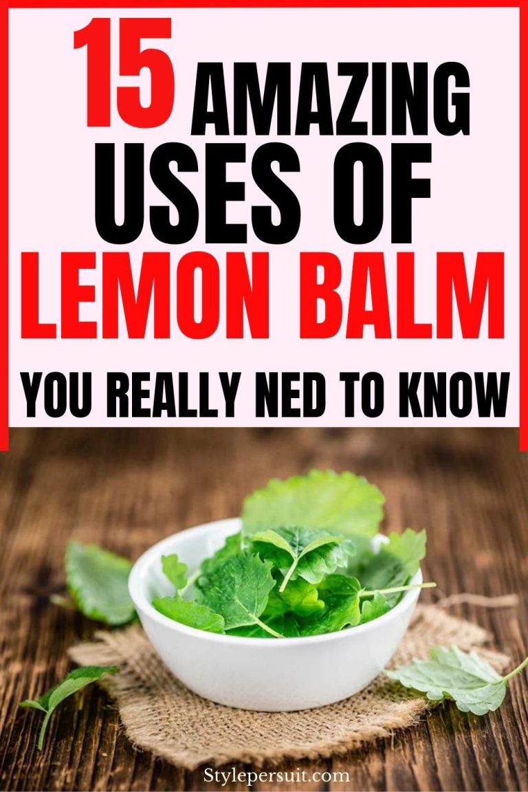 Top 15 Lemon Balm Uses You Must Know - StylePersuit
