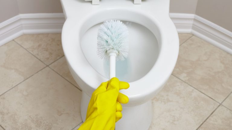 How to Clean Ring in Toilet Bowl: 12 Easy Methods - StylePersuit