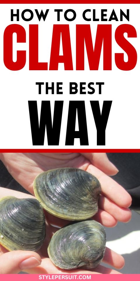 How To Clean Clams The Best Way - StylePersuit