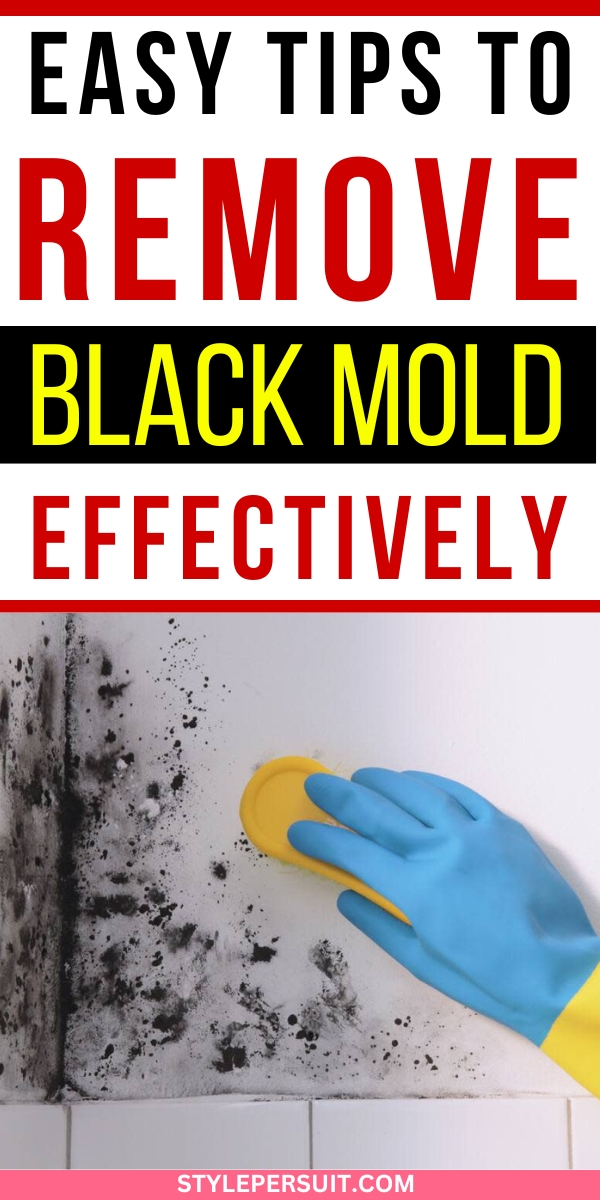 How to Effectively Remove Black Mold Using Household Cleaners ...