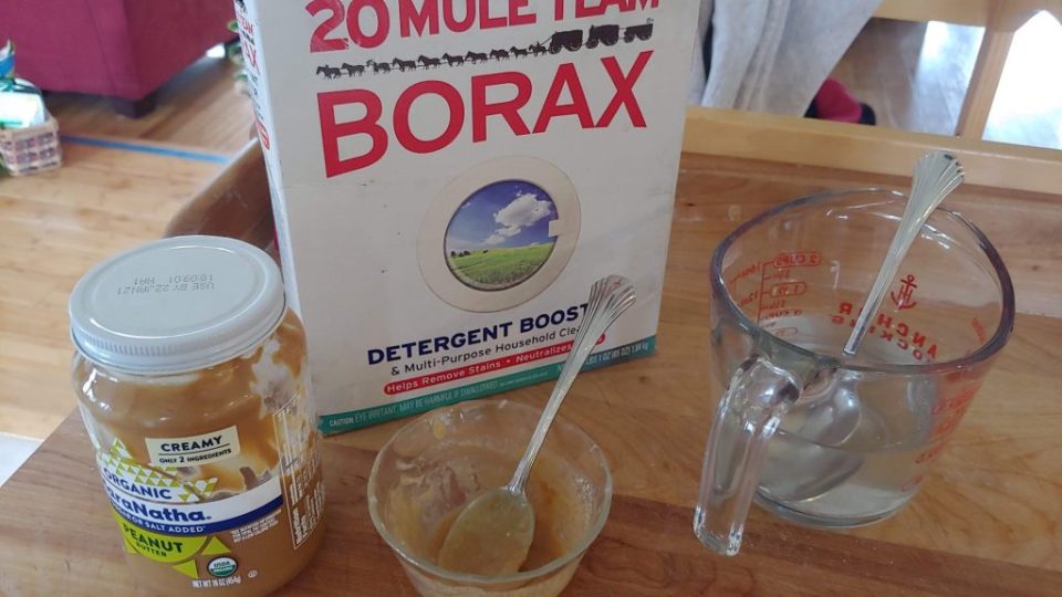 Borax Roach Killer Recipe – How To Get Rid Of Roaches With Borax ...