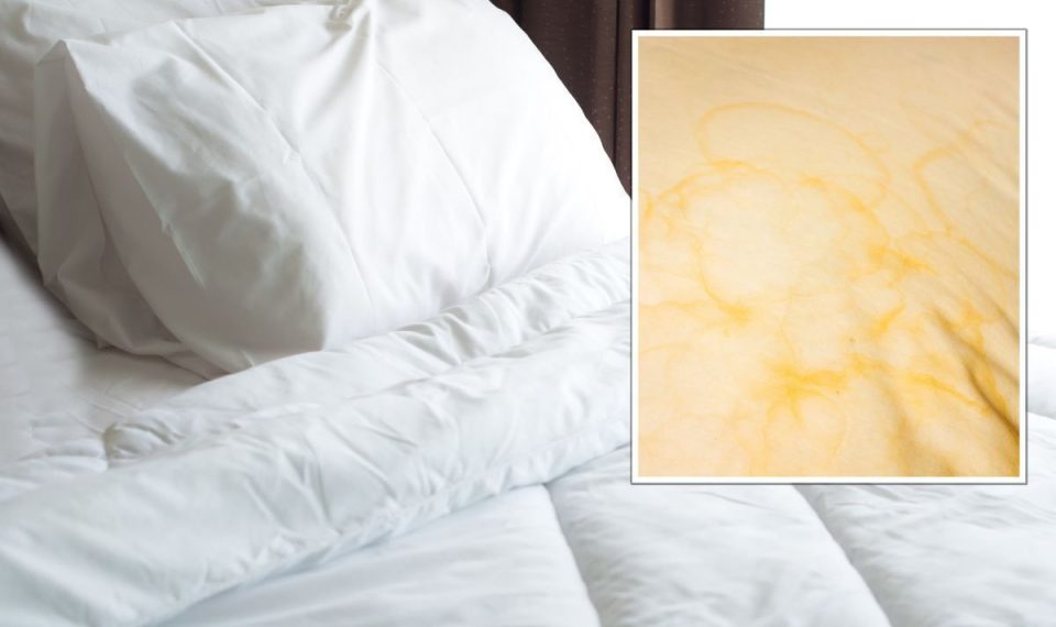 How to Get Rid of Yellow Stains on White Comforter in 7 Simple Steps ...