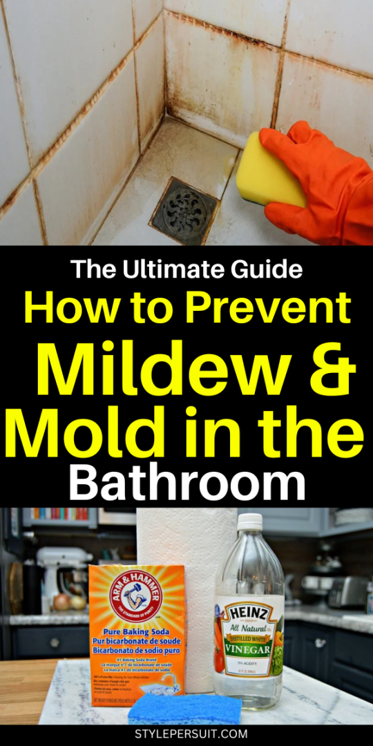 How To Stop Mold In The Bathroom