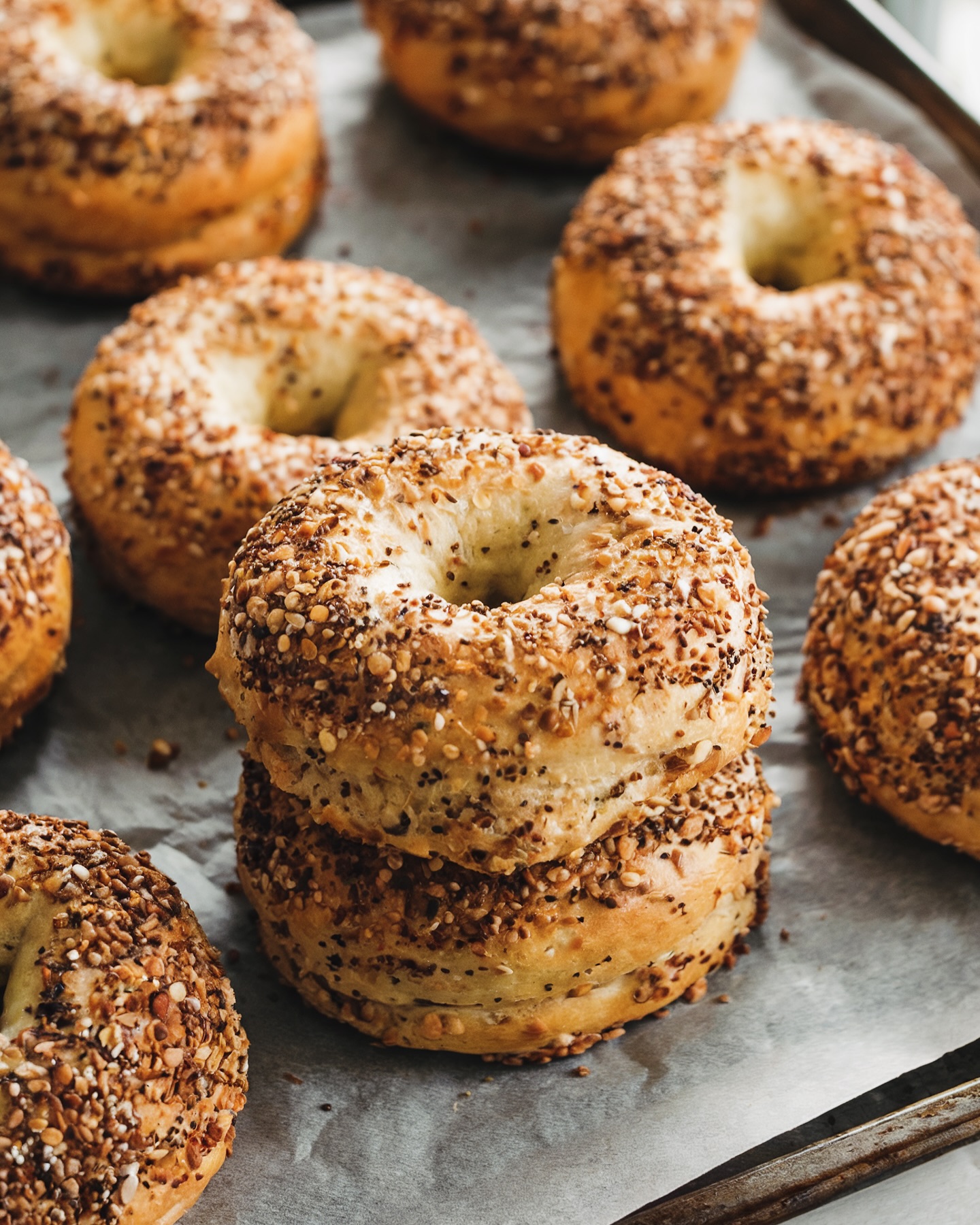 High-Protein Cottage Cheese Bagels - StylePersuit