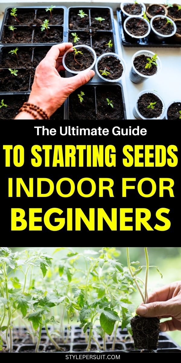 The Ultimate Guide to Starting Seeds Indoors: Step-by-Step Instructions ...