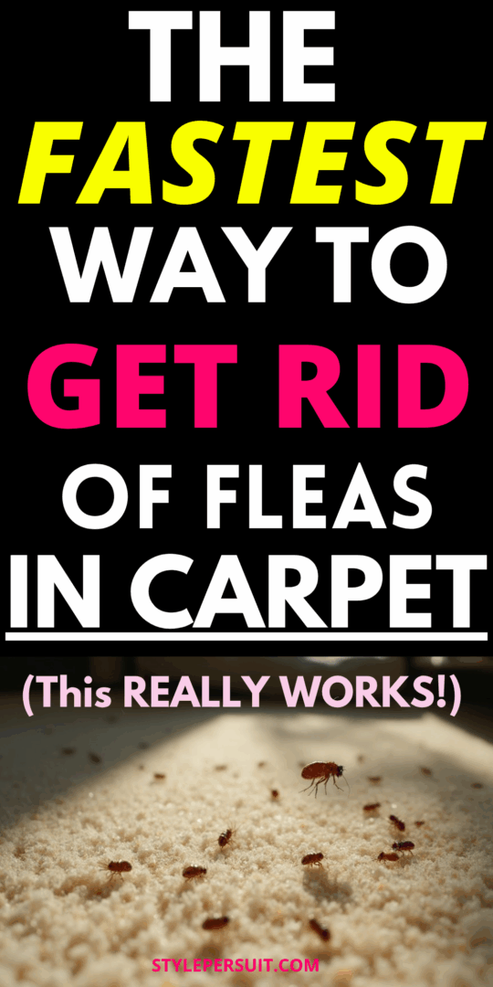 How to Kill Fleas on Carpet (Before They Take Over Your Whole House ...