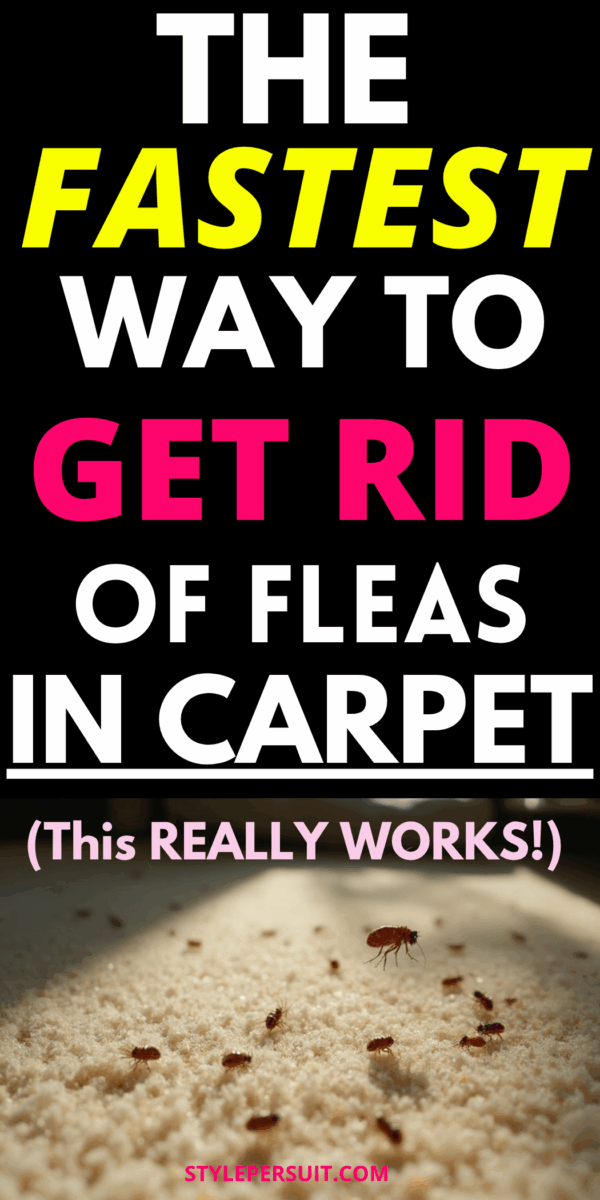 How to Kill Fleas on Carpet (Before They Take Over Your Whole House ...