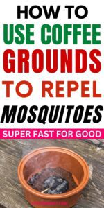 Coffee Grounds Mosquito Repellent - StylePersuit