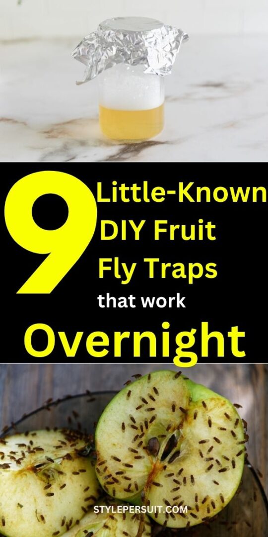 DIY Fruit Fly Traps That Actually Work (No More Buzzing Around Your ...