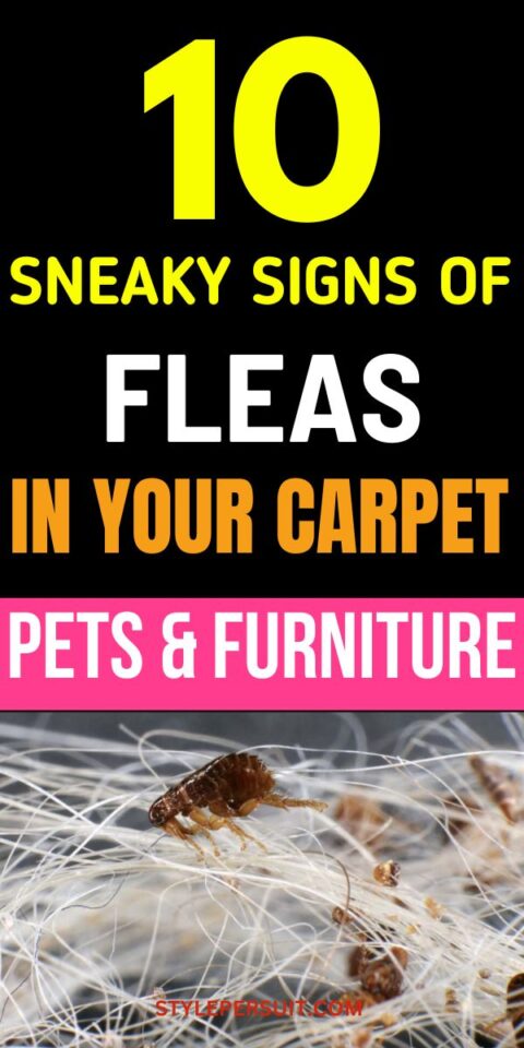 13 Telltale Signs of a Flea Infestation in Your Home (And What to Do ...